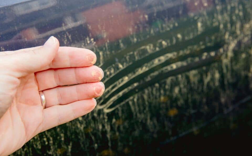 How To Keep Pollen Out Of Your House | Bob Tyler Toyota