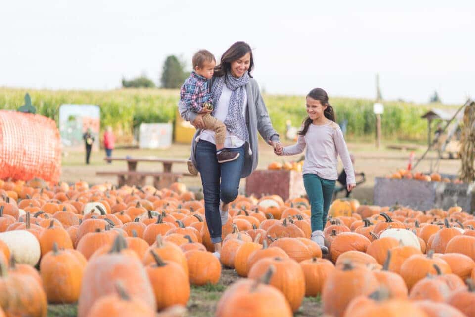 How To Pick The Best Pumpkin | Bob Tyler Toyota