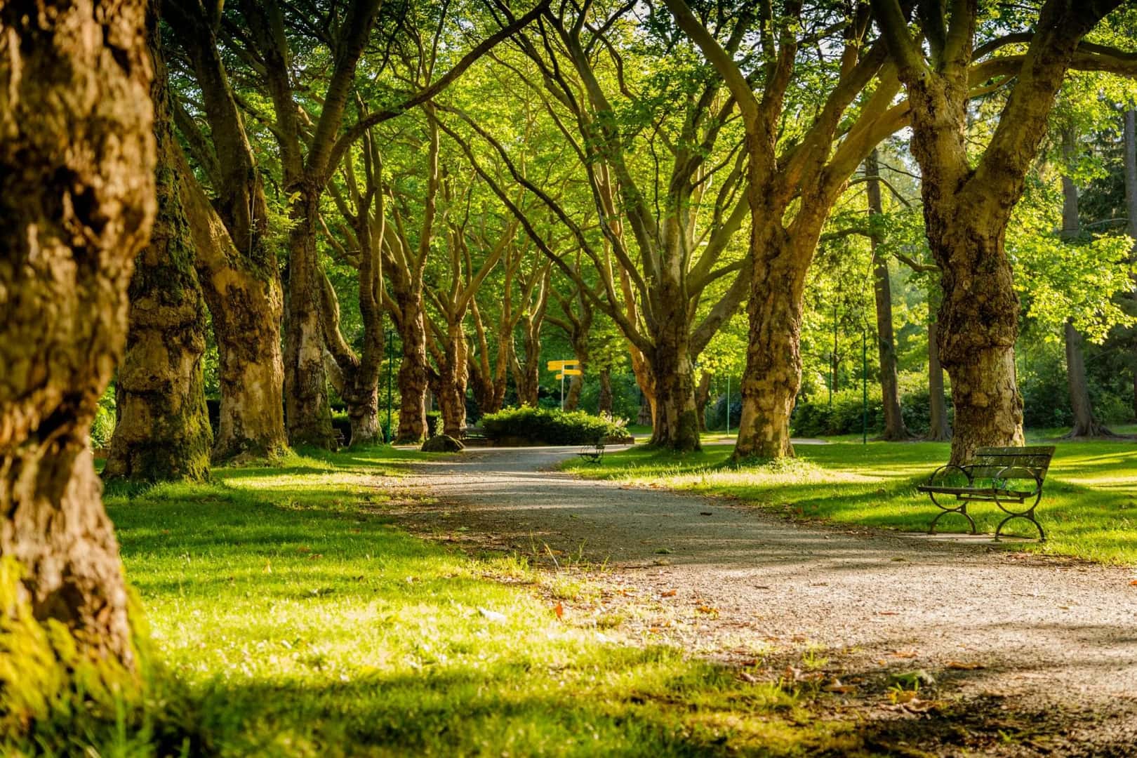 Best Parks in Bradenton, FL