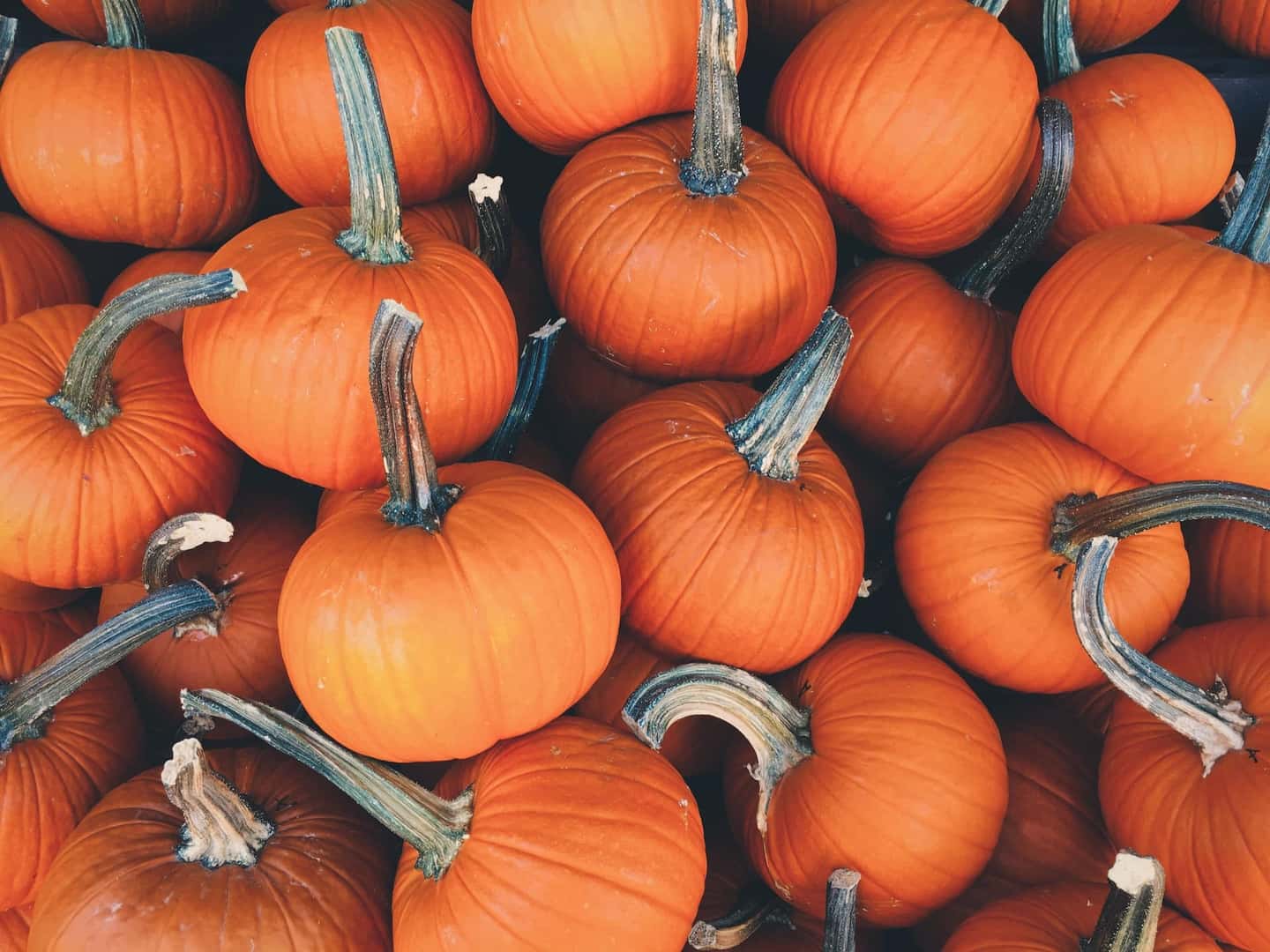 Family-Friendly Halloween Events in Oklahoma City, OK | Eskridge Lexus ...