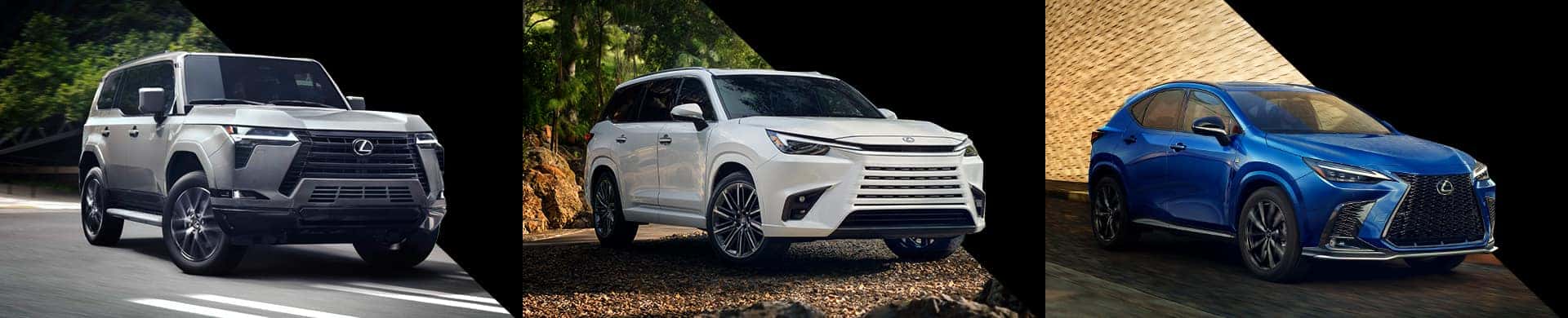 COMPLIMENTARY AMENITIES | Jim Hudson Lexus Augusta