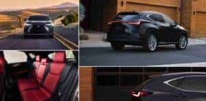 2025 Lexus NX Dimensions: Size & Cargo Space