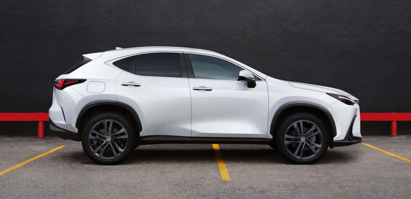 2026 Lexus NX Dimensions: Size & Cargo Space