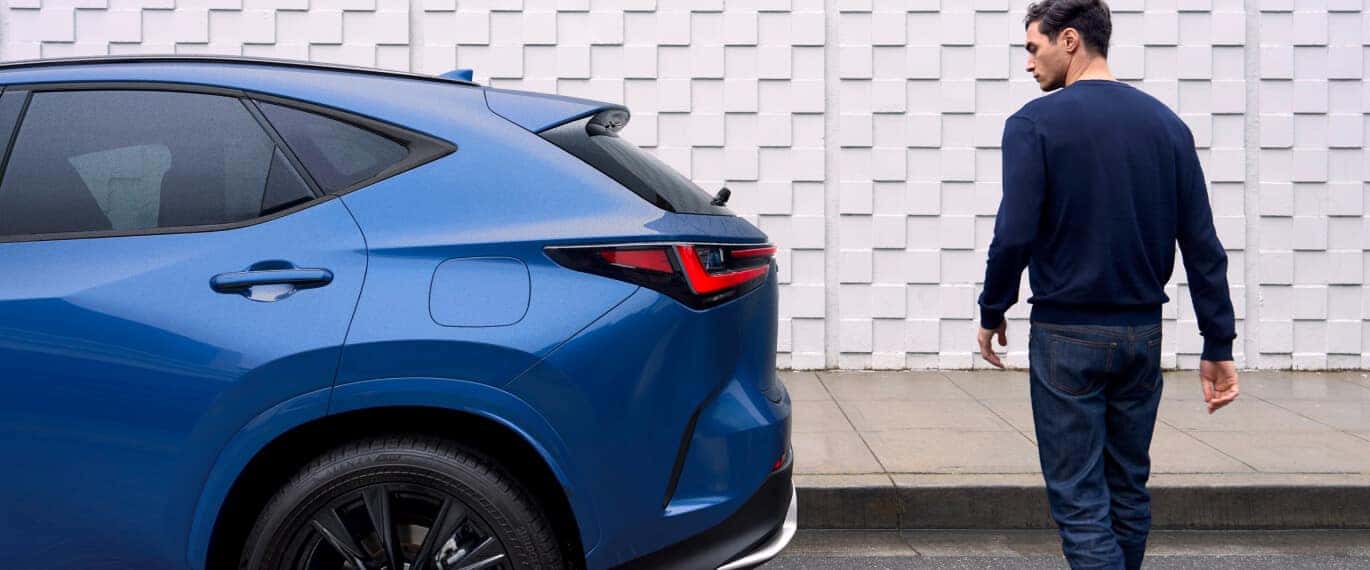 2026 Lexus NX Dimensions: Size & Cargo Space