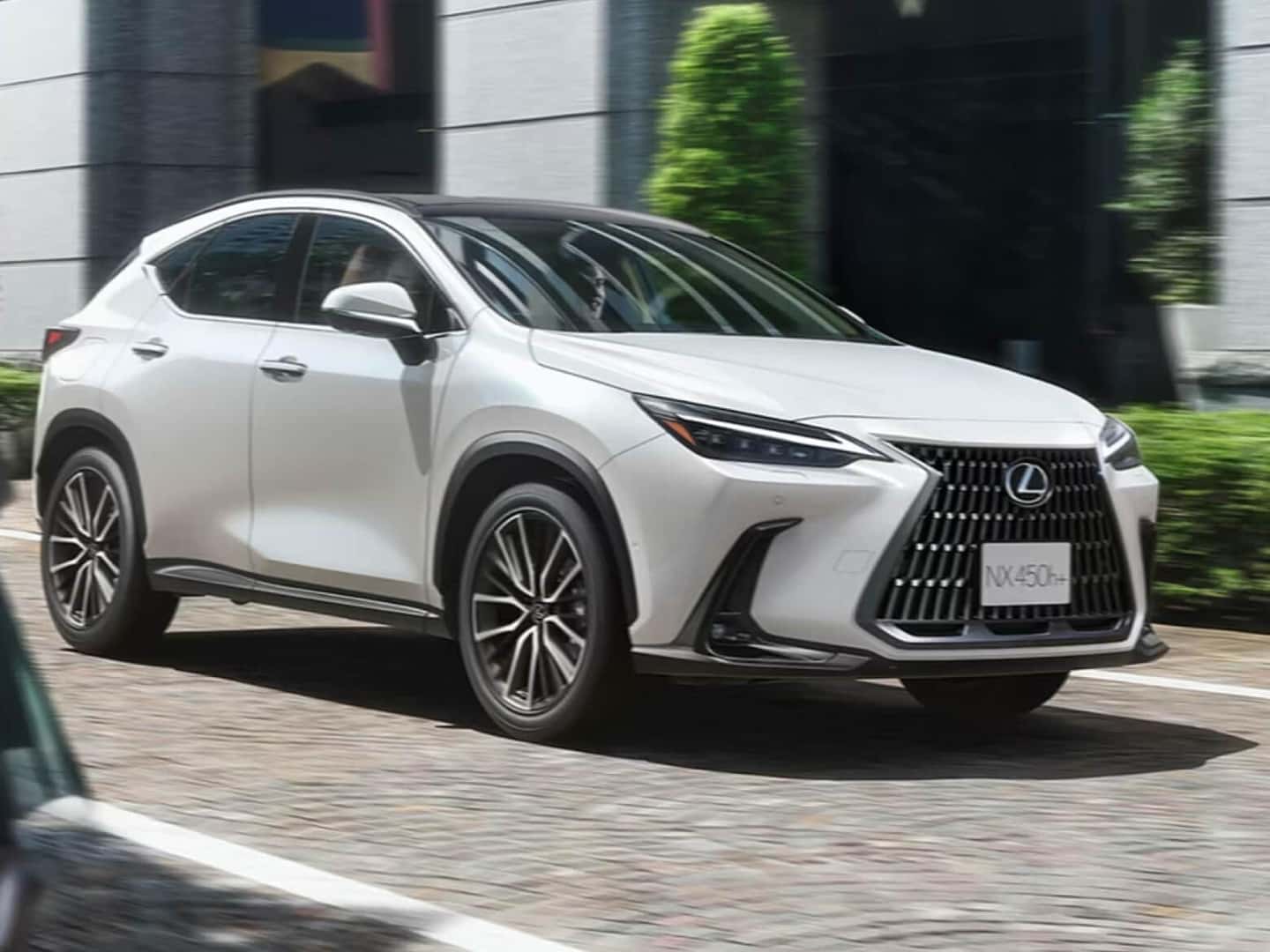 2026 Lexus NX Trim Levels & Packages