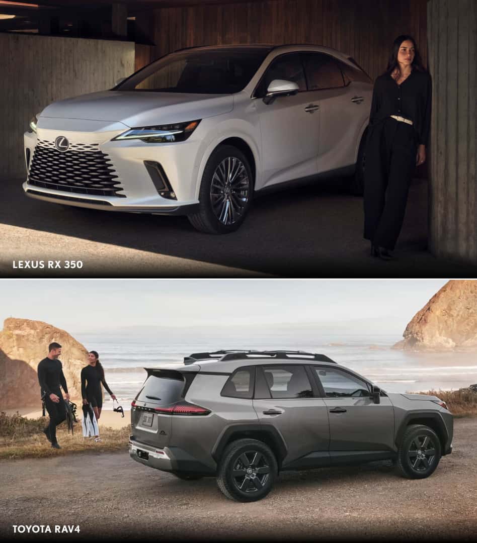 Toyota Rav4 Vs Lexus Rx