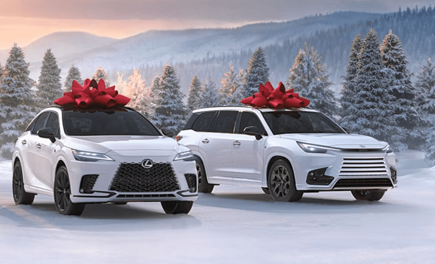 How to Take Advantage of December to Remember | Lexus of Northborough