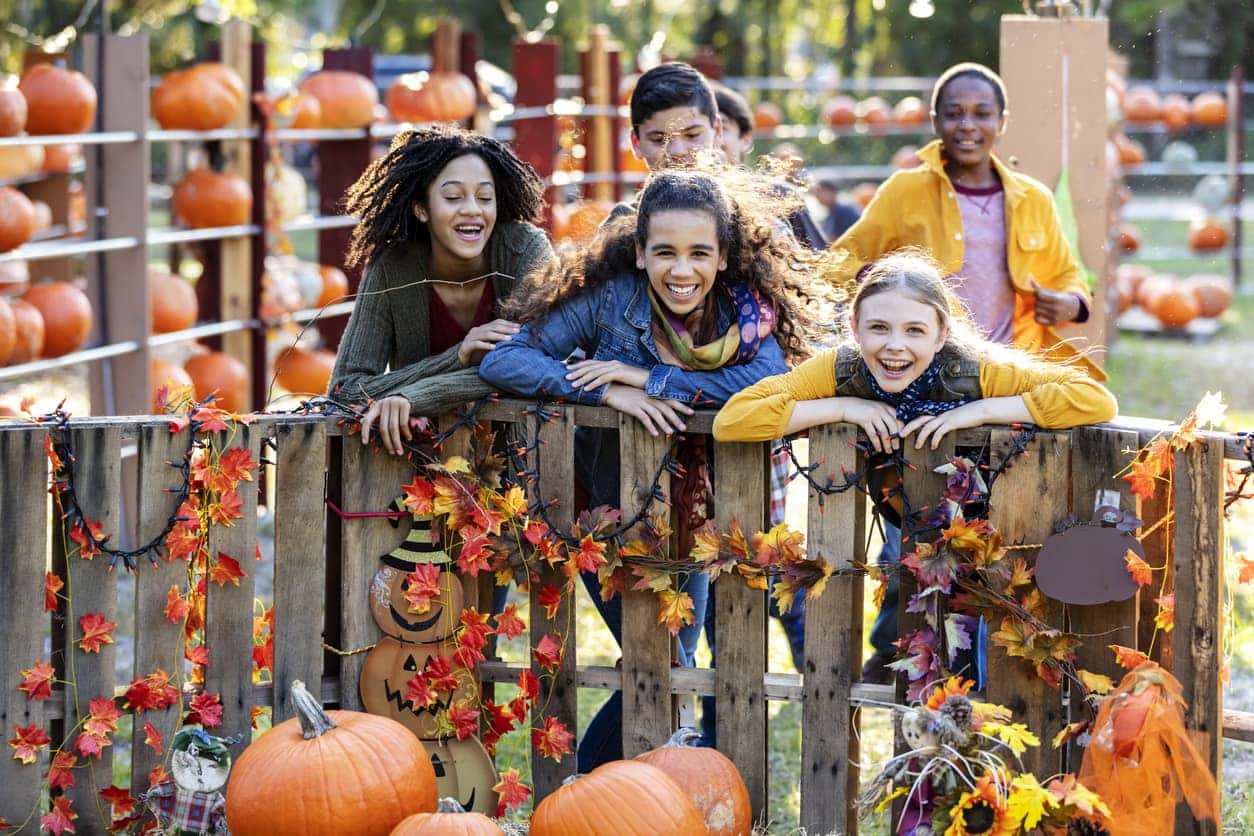 Mark The Calendar For Wesley Chapel's Fall Festival | Lexus of Wesley ...