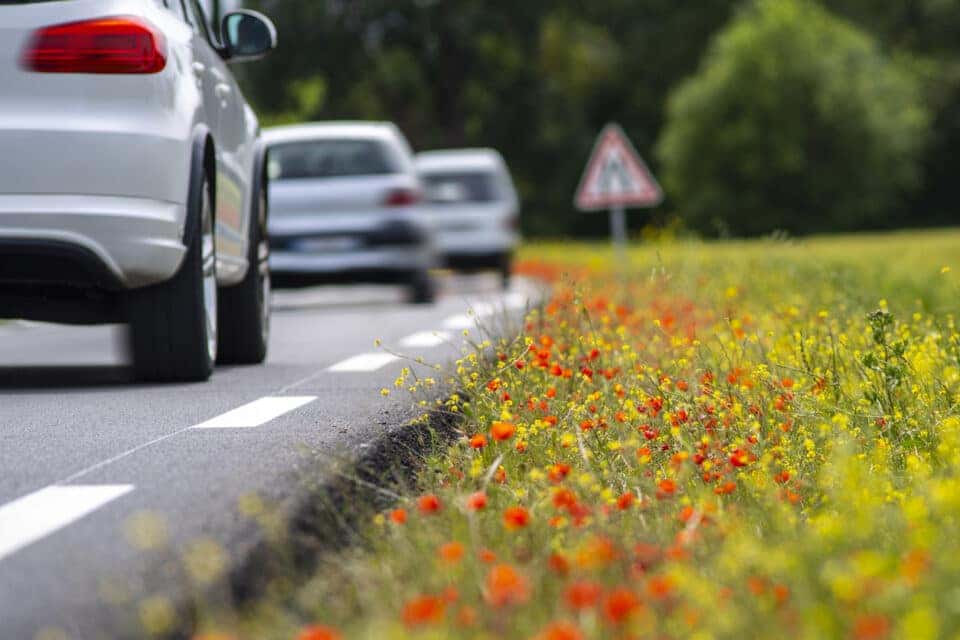 How To Get Your Vehicle Ready For Your Next Road Trip | Lexus of Wesley ...