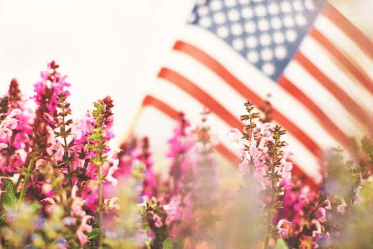 Fun Activities For Labor Day Weekend | Lexus of Wesley Chapel