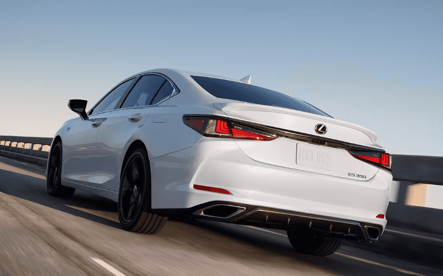 Lexus: Engineered for Thrills on Florida Roads | Lexus of Wesley Chapel