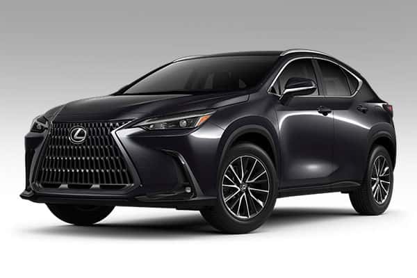 2023 Lexus NX Review | Performance Lexus