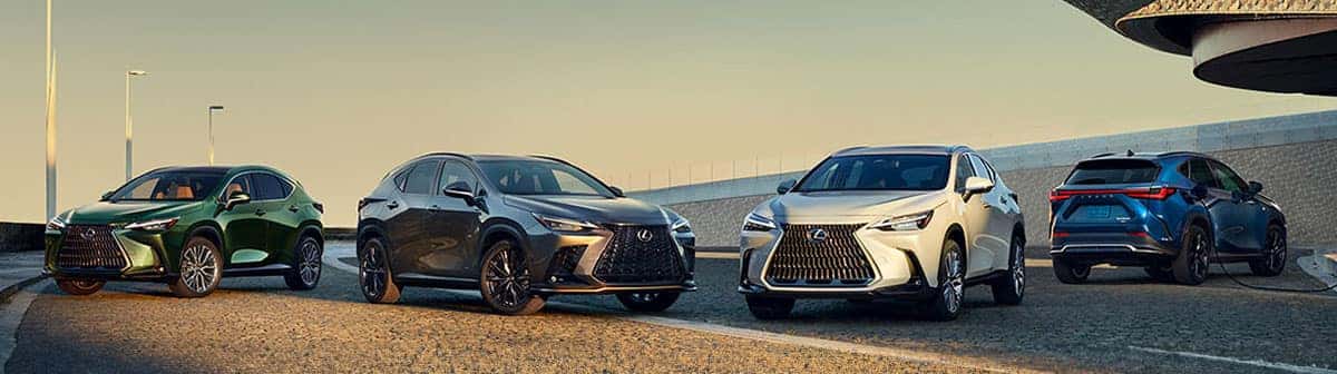 2024 Lexus NX Review | Performance Lexus