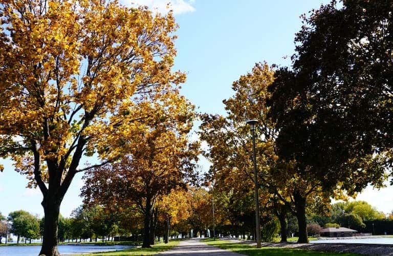 Safe Driving Tips for the Fall