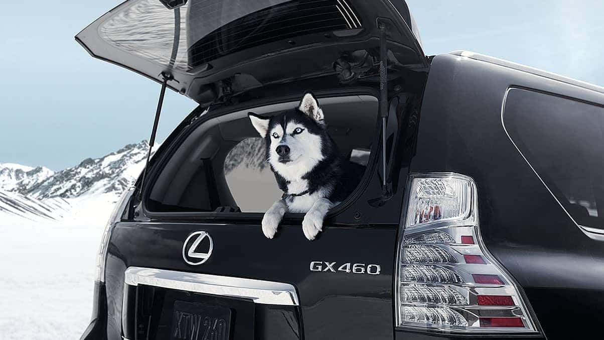 2019 Lexus GX Specs, Prices and Photos | Rallye Lexus
