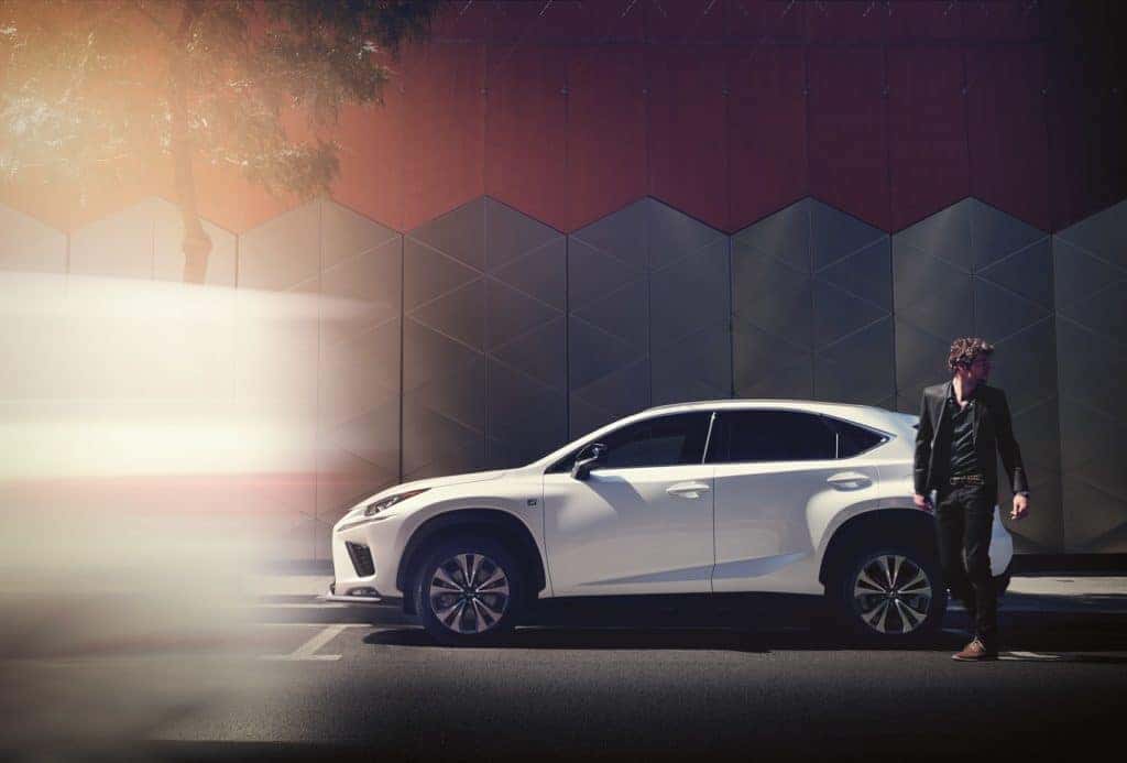 What Is the Difference Between the Lexus NX and RX? | Larchmont, NY