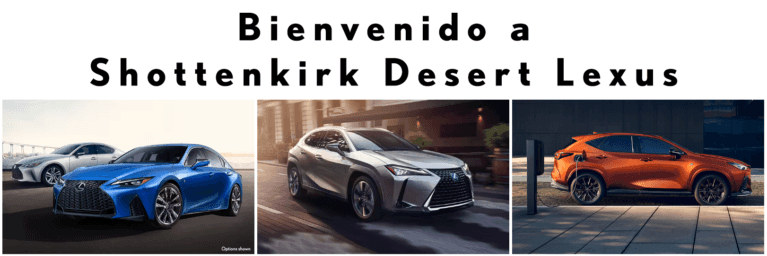 Sobre Nosotros | Shottenkirk Desert Lexus
