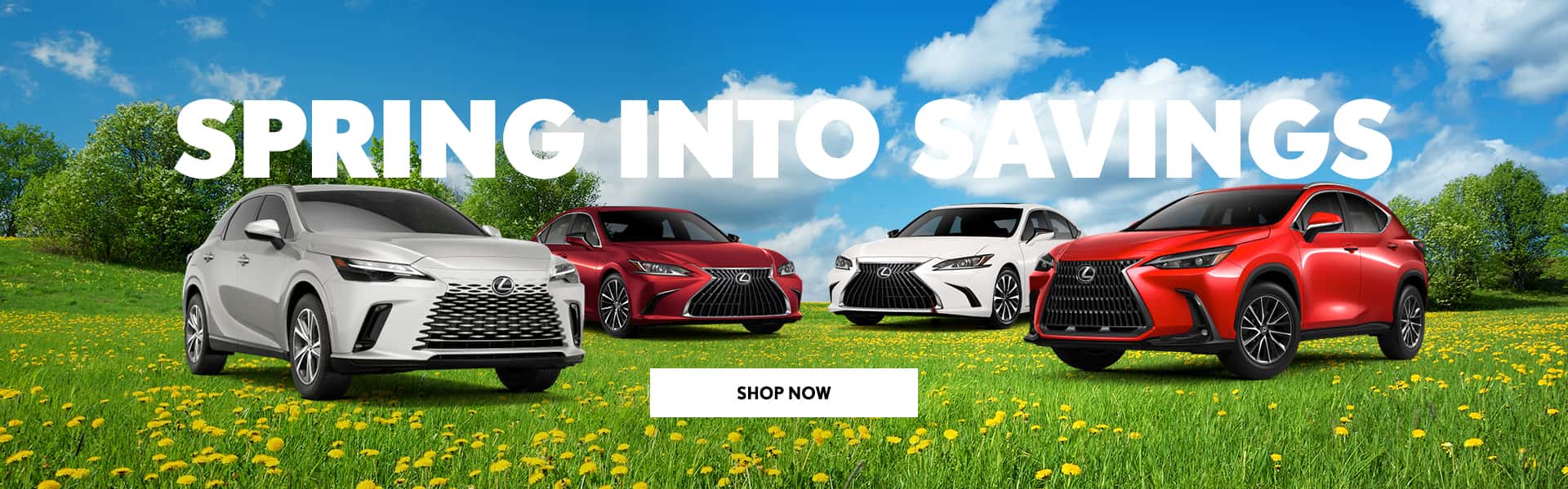 Modesto Stockton, CA Lexus Luxury Car Dealer | Valley Lexus