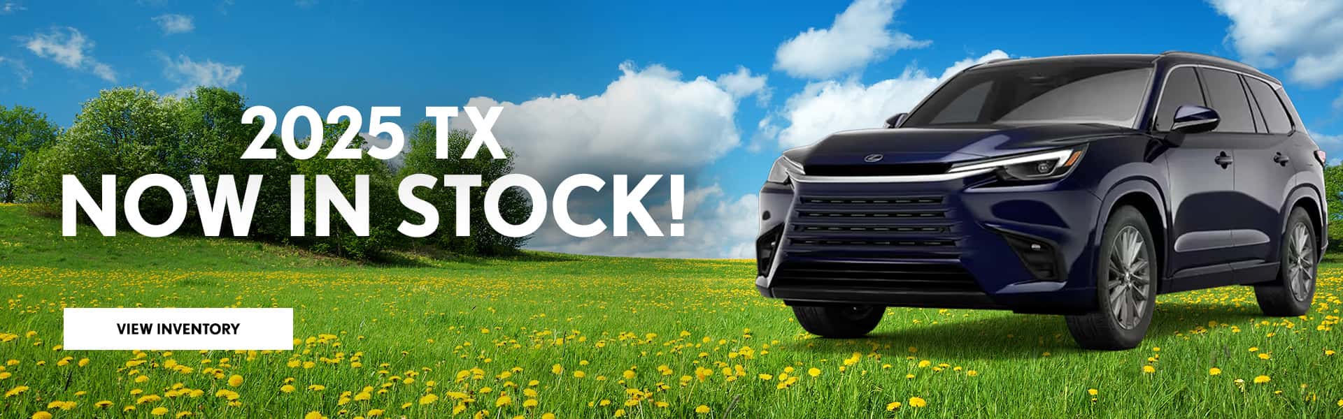 Modesto Stockton, CA Lexus Luxury Car Dealer | Valley Lexus